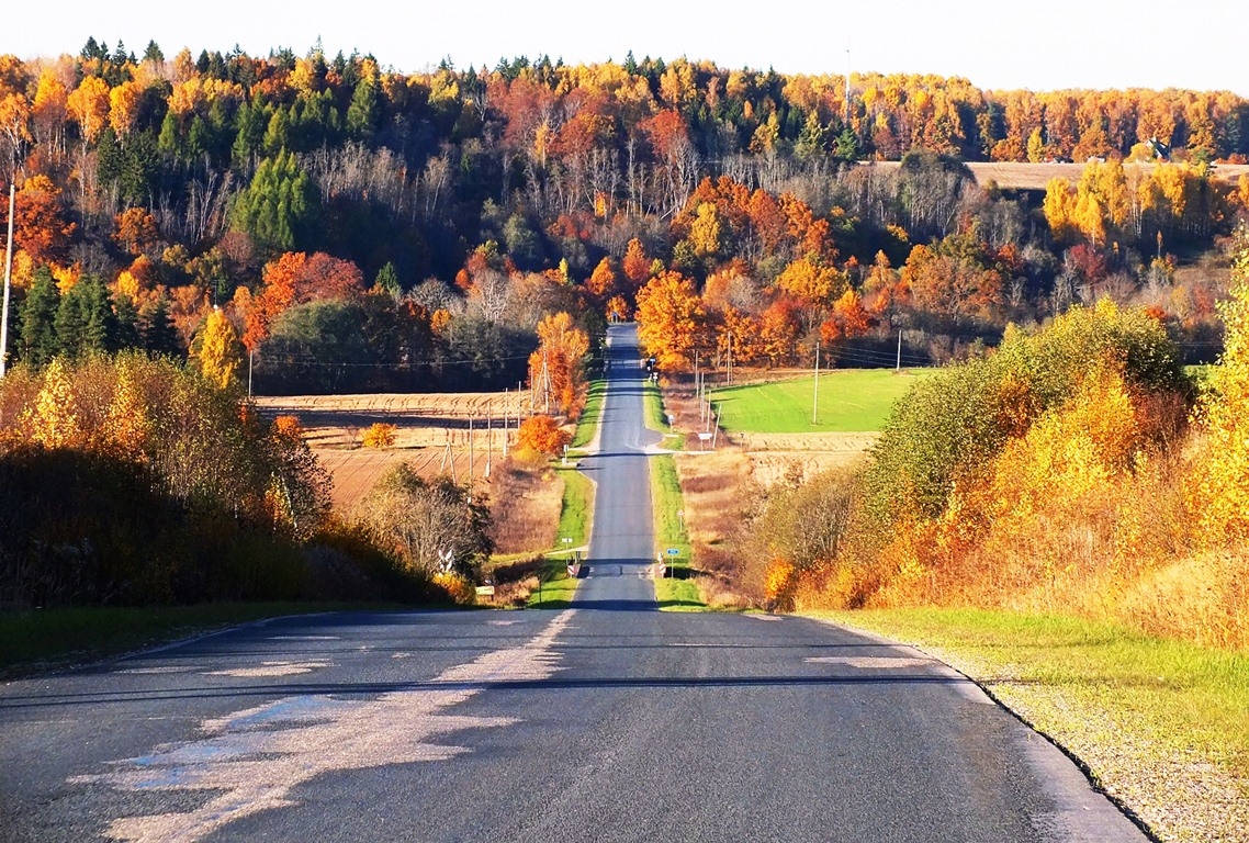 Zelta rudens – Cehs.lv